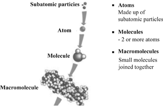 Definition of The Chemical Level Of Organization | Chegg.com