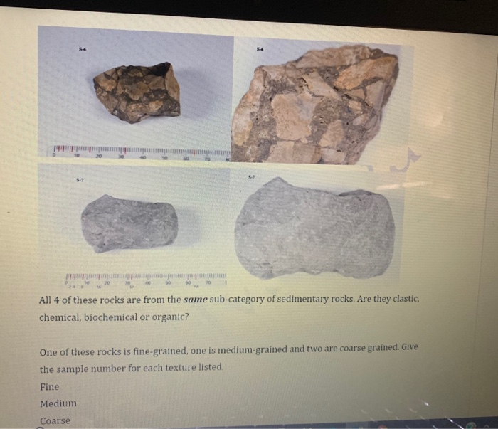 Solved Part 2 Sedimentary Rocks Examine the photographs of | Chegg.com