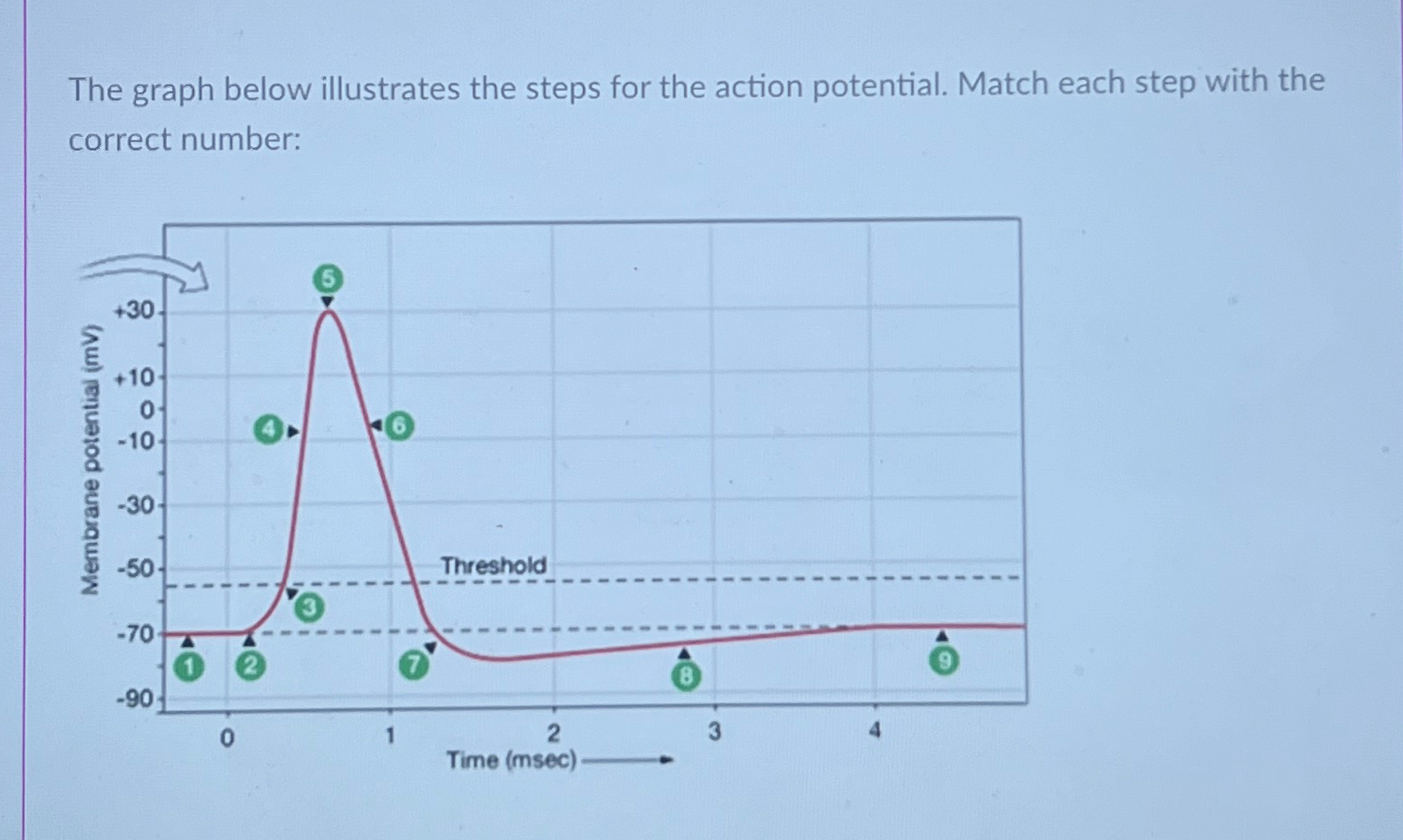 Solved The graph below illustrates the steps for the action | Chegg.com