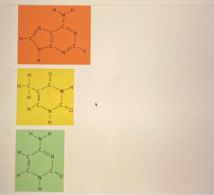 Solved Select ALL nitrogenous bases that are purines. | Chegg.com