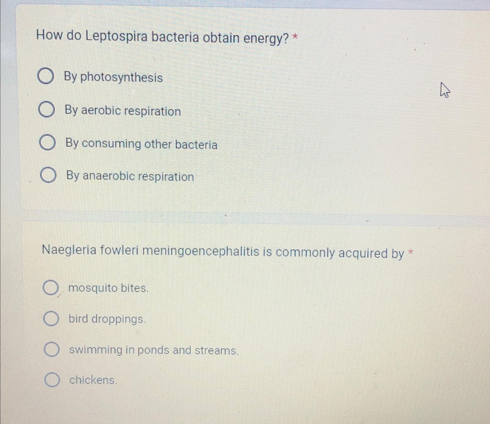 Solved How do Leptospira bacteria obtain energy? *By | Chegg.com