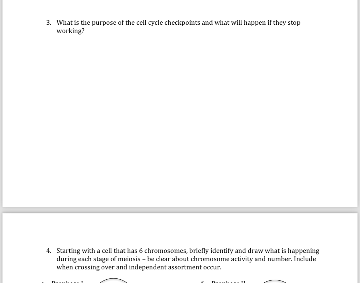 Solved What is the purpose of the cell cycle checkpoints and | Chegg.com