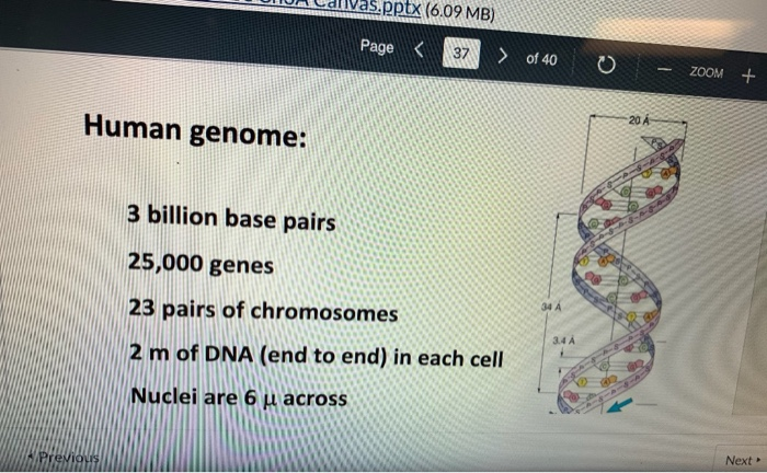 The Bioscience mural depicts a small stretch of | Chegg.com
