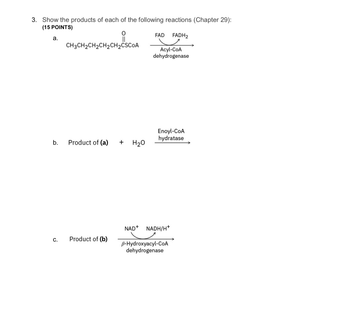 Solved Show the products of each of the following reactions | Chegg.com