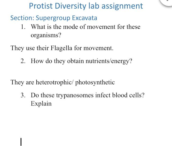 Solved Protist Diversity lab assignment Section: Supergroup | Chegg.com