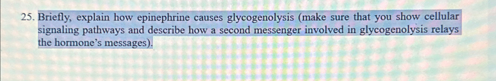 Solved Briefly, explain how epinephrine causes | Chegg.com