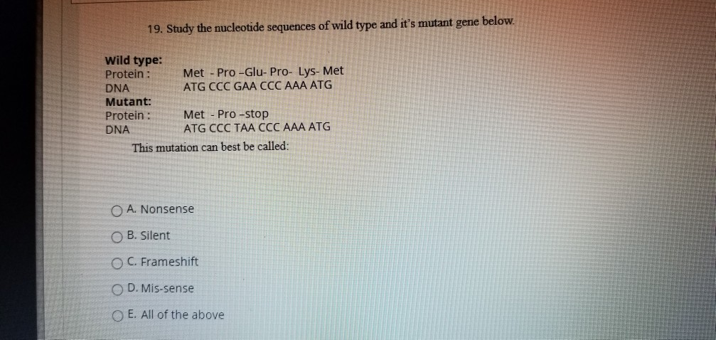 Solved 19. Study the nucleotide sequences of wild type and | Chegg.com