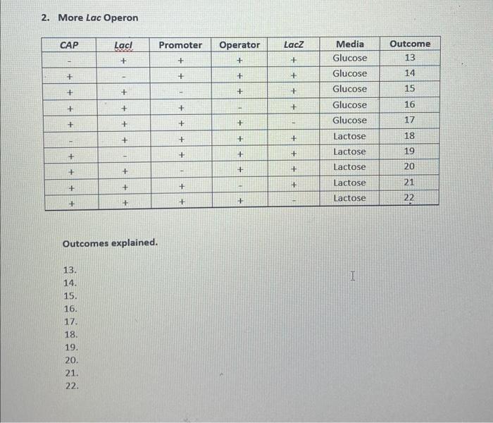 Solved Assignment 11 - Prokaryotic Transcriptional | Chegg.com