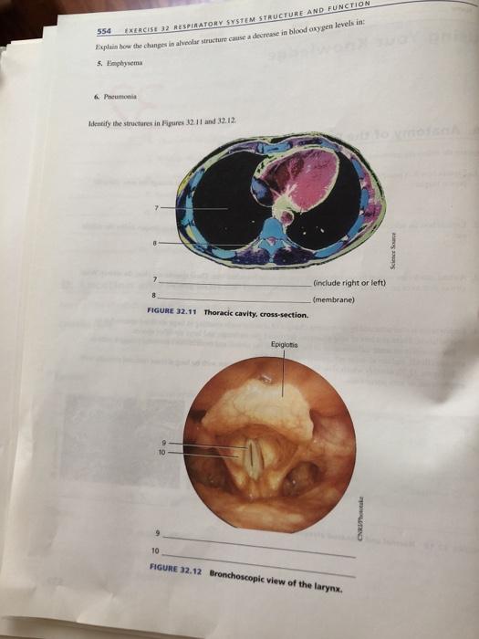 Solved Section EXERCIS Name Date Using Your Knowledge 32 A. | Chegg.com