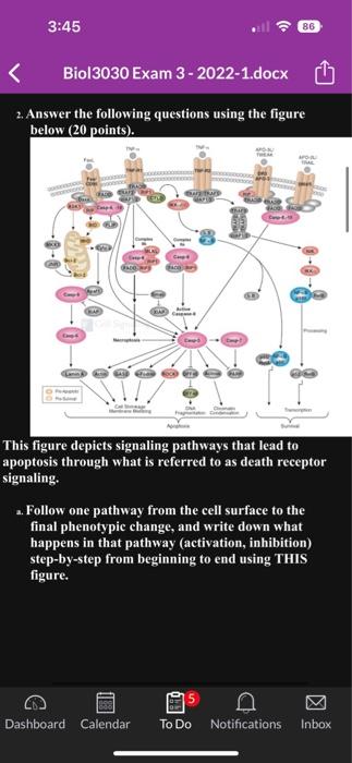 Solved 2. Answer the following questions using the figure | Chegg.com