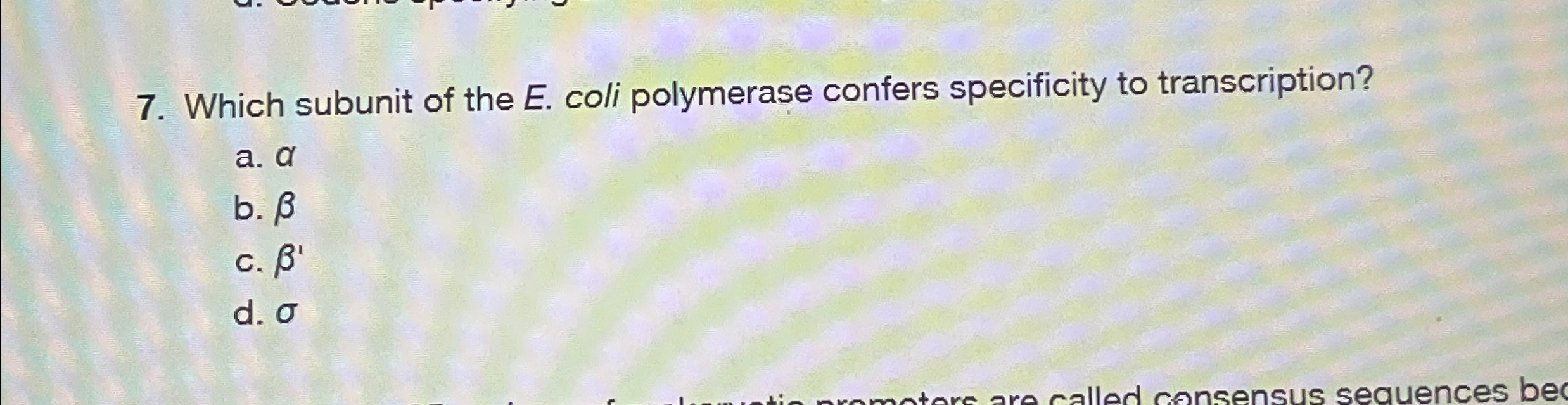 Solved Which subunit of the E. ﻿coli polymerase confers | Chegg.com