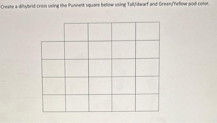 Solved Create a dihybrid cross using the Punnett square | Chegg.com