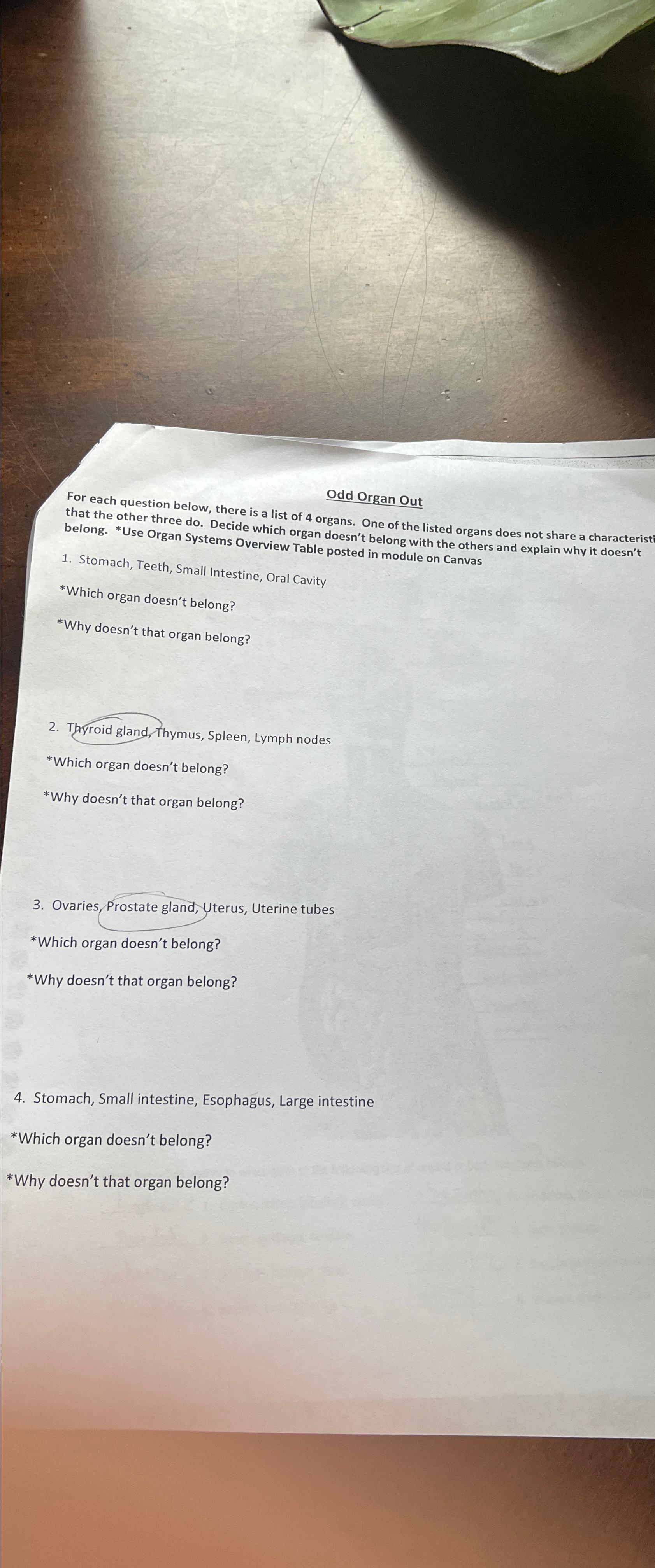 Solved Odd Organ OutFor each question below, there is a list | Chegg.com