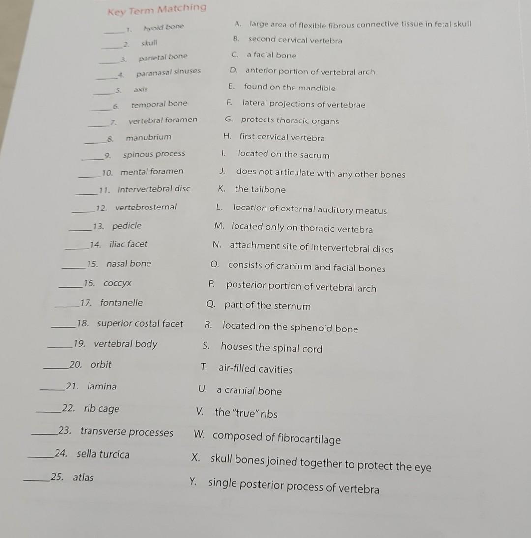 Solved Key Term Matching 1. hyold bone A. large area of | Chegg.com