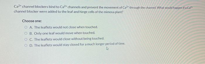 Solved Ca2+ channel blockers bind to Ca2+ channels and | Chegg.com