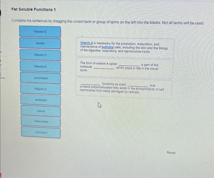 Solved Fat Soluble Functions 1 Complete the sentences by | Chegg.com