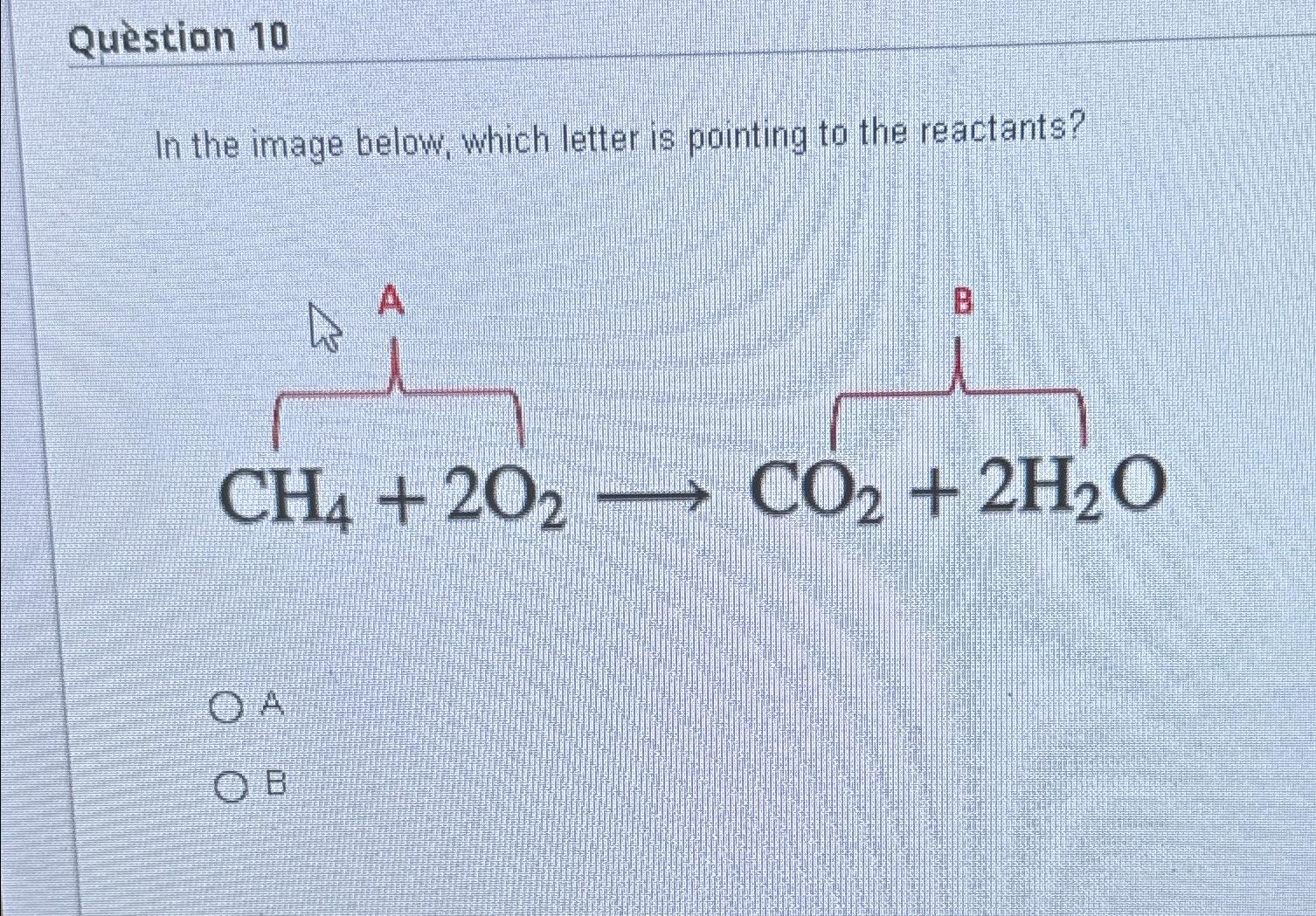 Solved Question 10In the image below, which letter is | Chegg.com