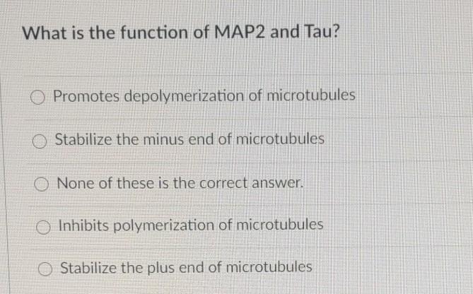Solved What is the function of MAP2 and Tau? O Promotes | Chegg.com
