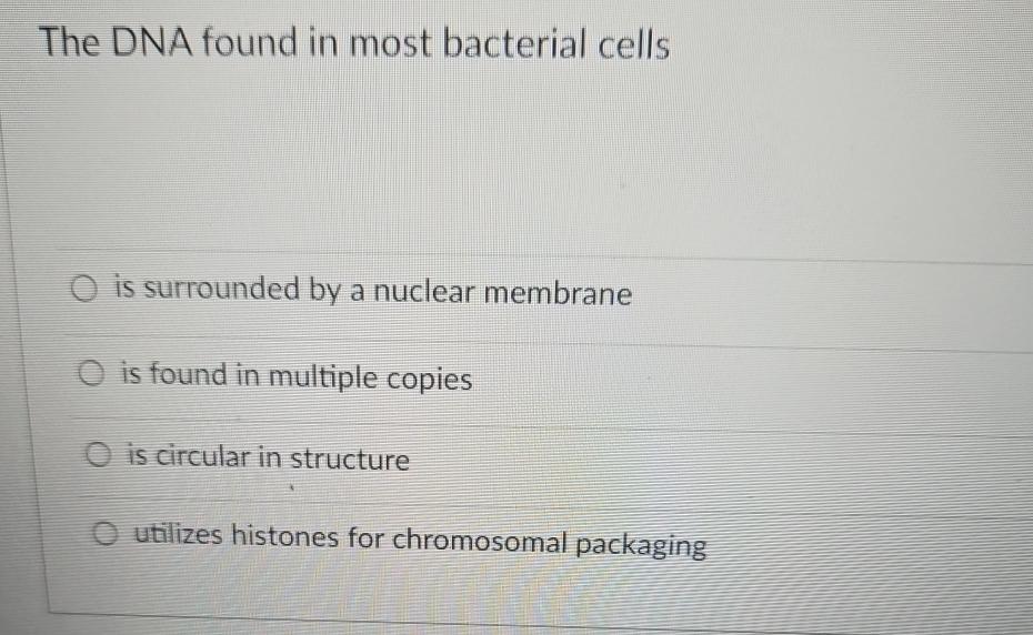 Solved The DNA found in most bacterial cellsis surrounded by | Chegg.com