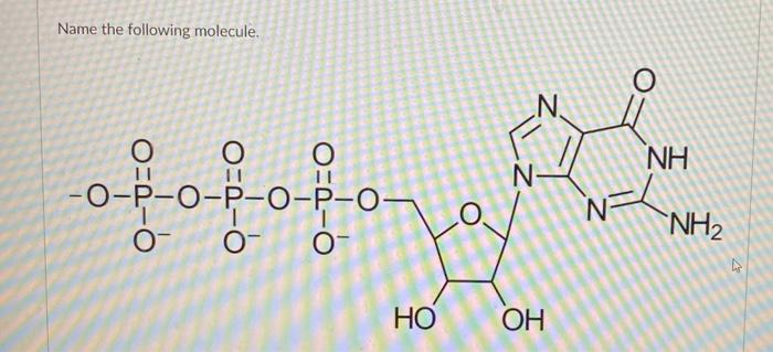 Solved Name the following molecule. NH2 NT O N HO- O HO | Chegg.com