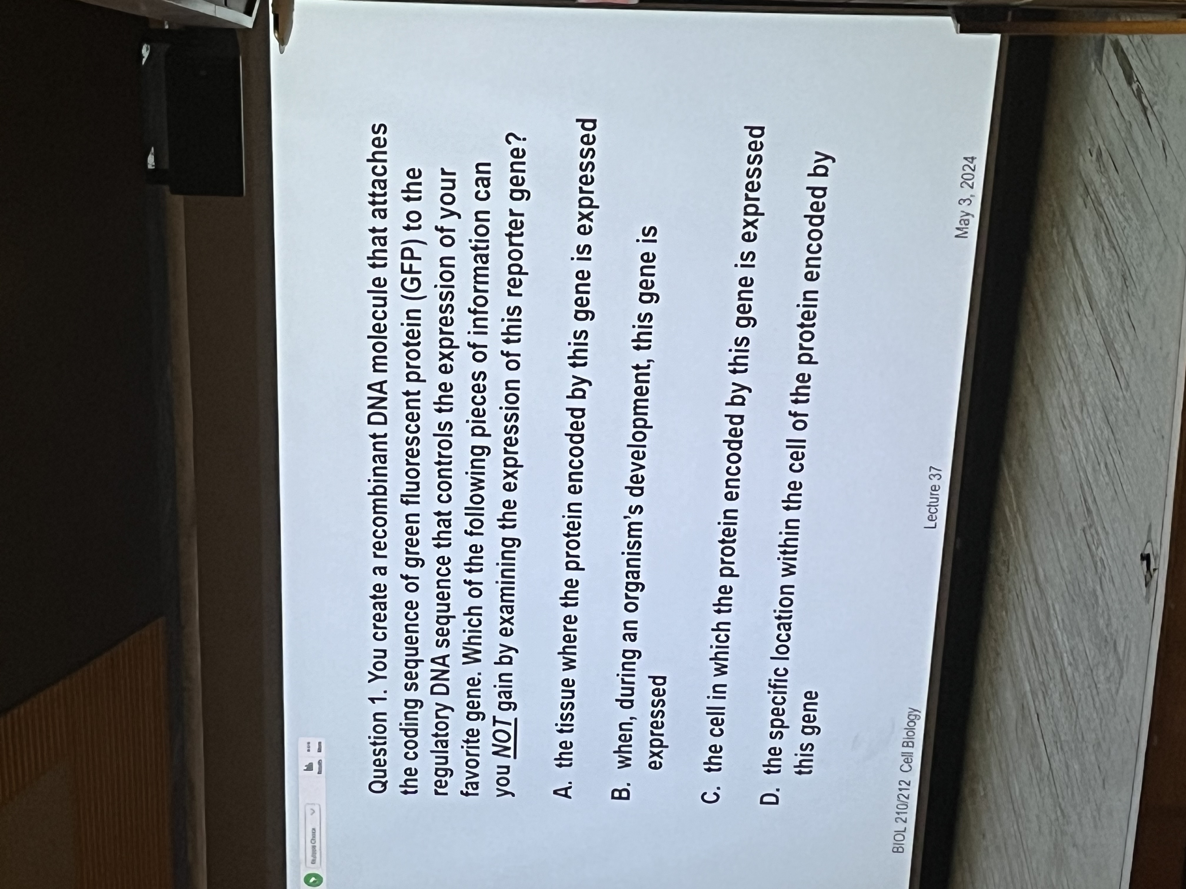 Solved Question 1. ﻿You create a recombinant DNA molecule | Chegg.com