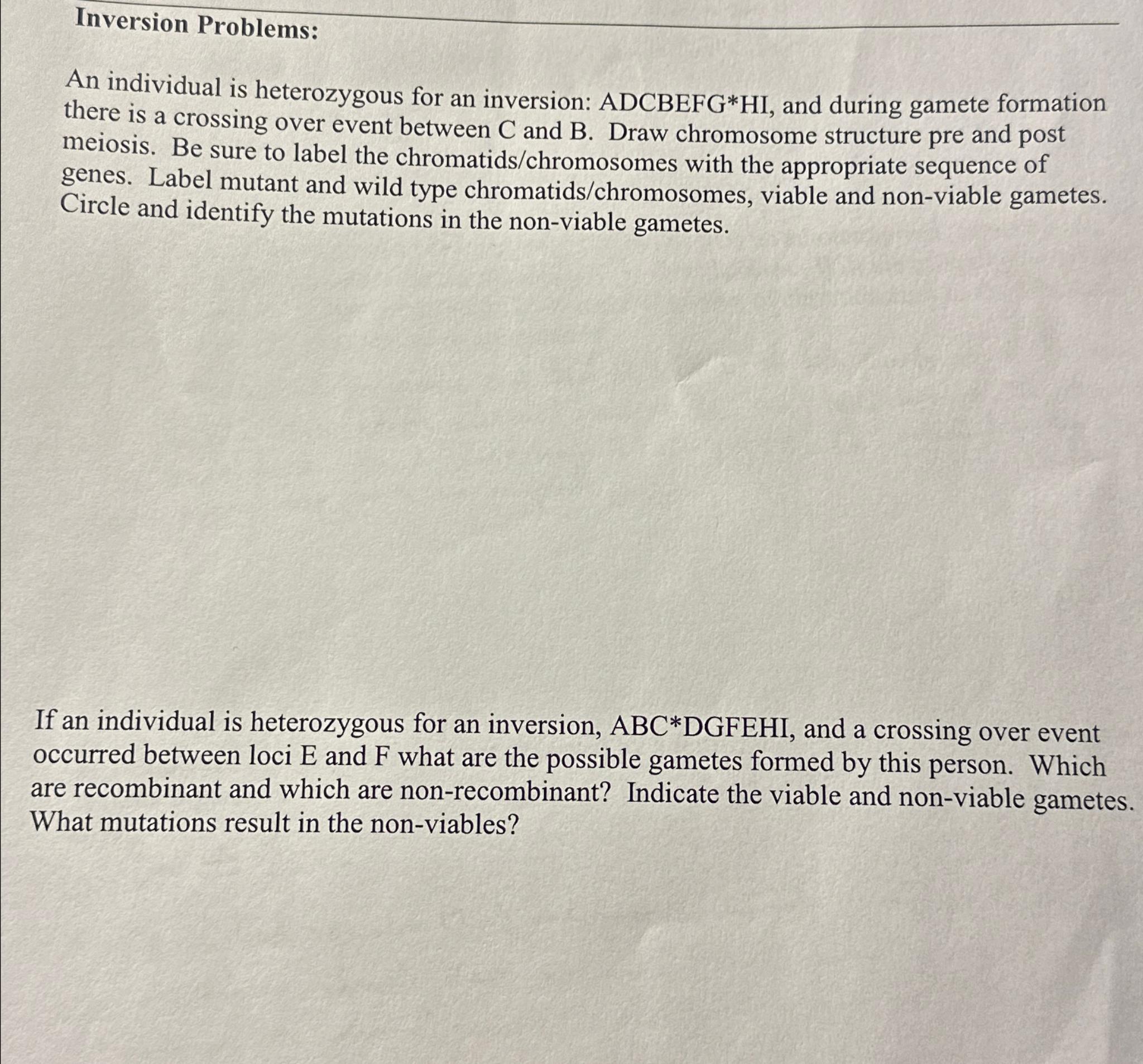 Solved Inversion Problems:An individual is heterozygous for | Chegg.com