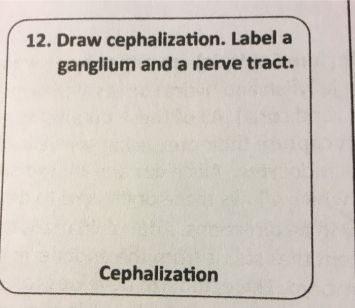 Solved 12. Draw cephalization. Label a ganglium and a nerve | Chegg.com