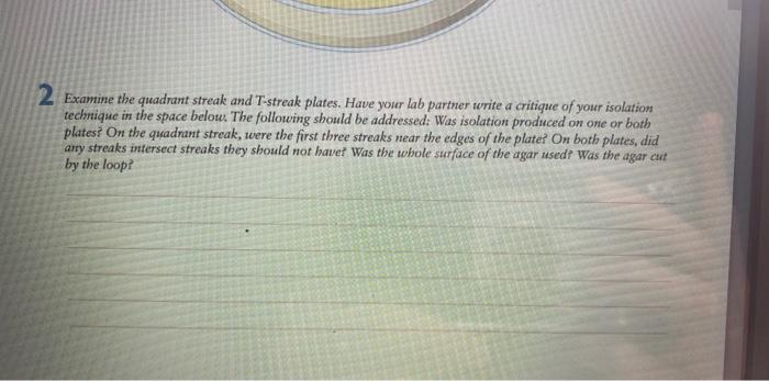 Solved Quadrant streak plate representative of the streak | Chegg.com