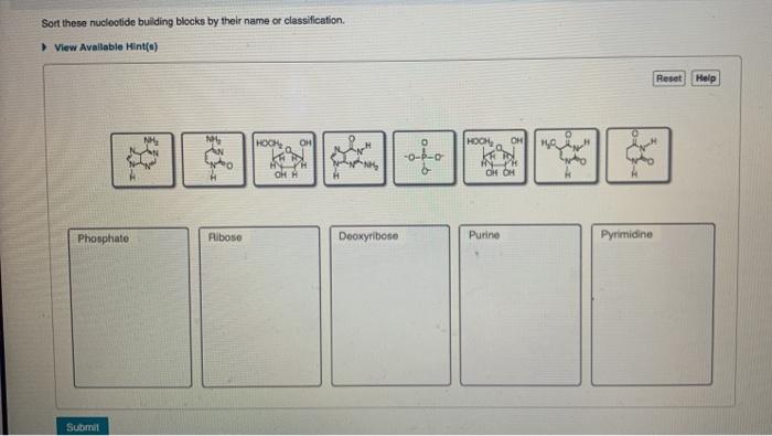 Solved Sort these nucleotide building blocks by their name | Chegg.com