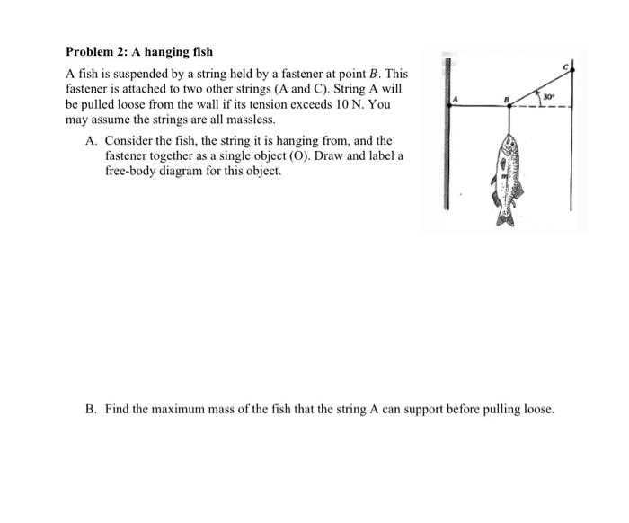 Solved 30 Problem 2: A hanging fish A fish is suspended by a | Chegg.com