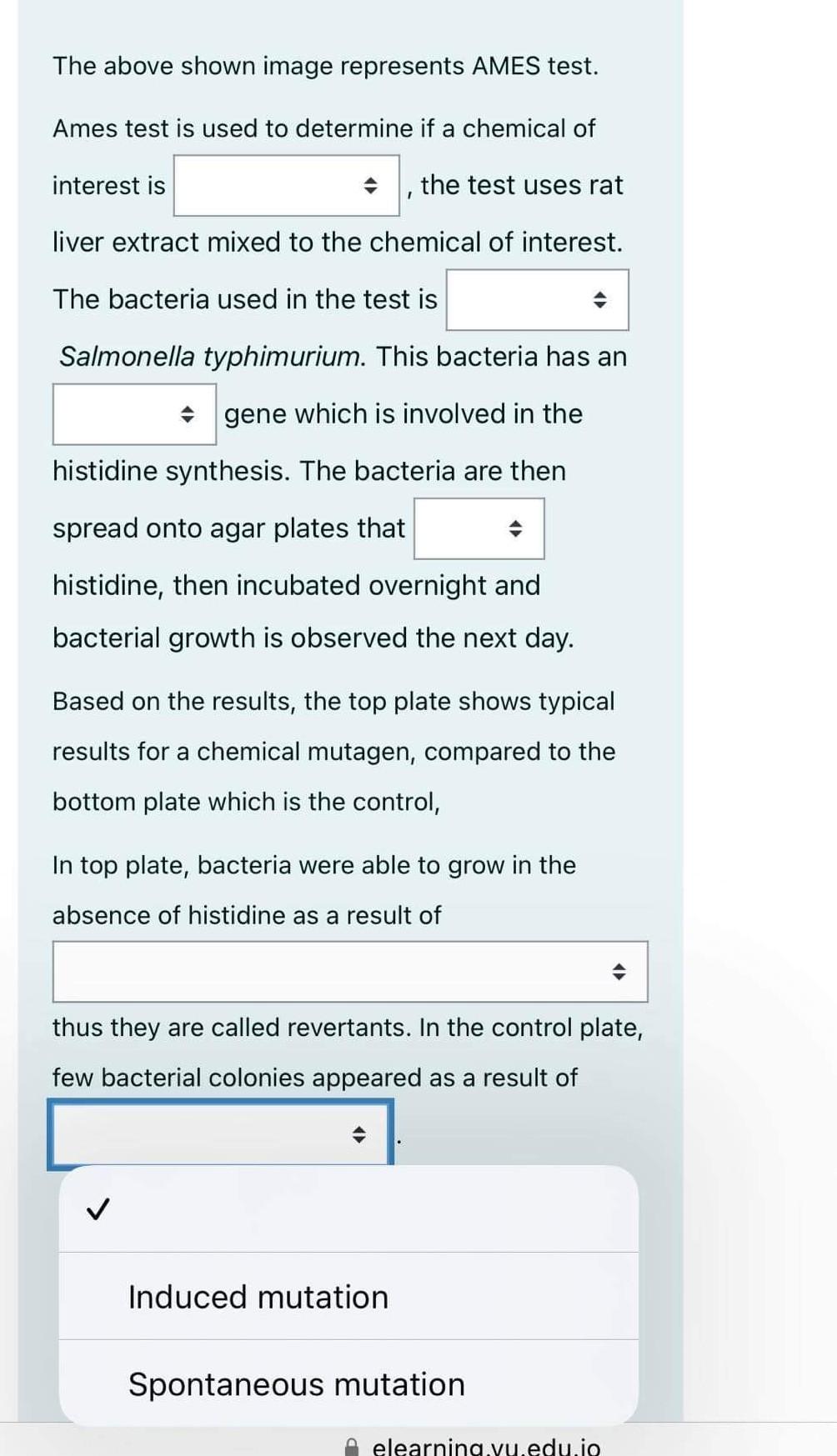 Solved The above shown image represents AMES test. Ames test | Chegg.com