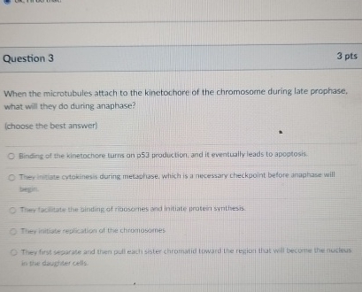 Solved Question 33 ﻿ptsWhen the microtubules attach to the | Chegg.com