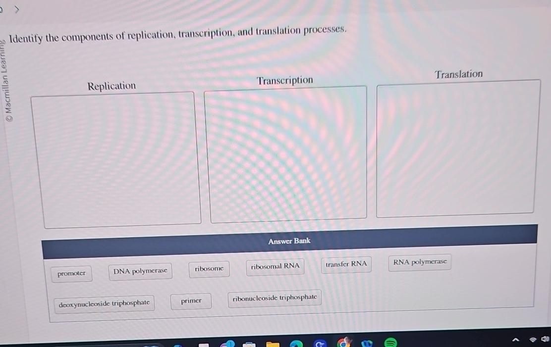 Solved Identify the components of replication, | Chegg.com