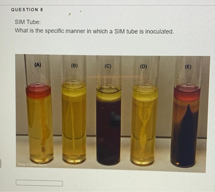 Solved QUESTION 8 SIM Tube: What is the specific manner in | Chegg.com