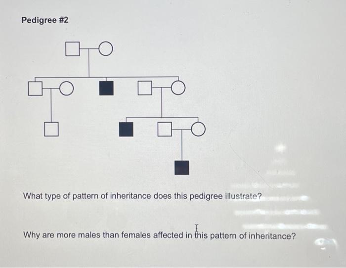 Solved Examining Family Pedigrees For each of the pedigrees | Chegg.com