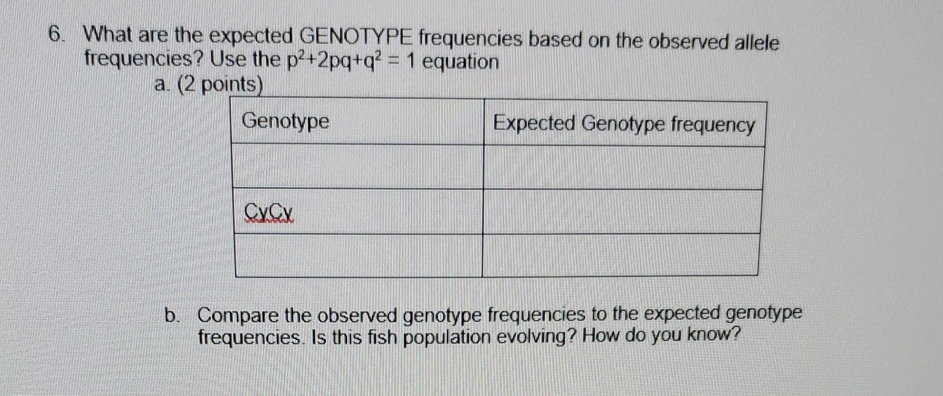 Solved 6. What are the expected GENOTYPE frequencies based | Chegg.com