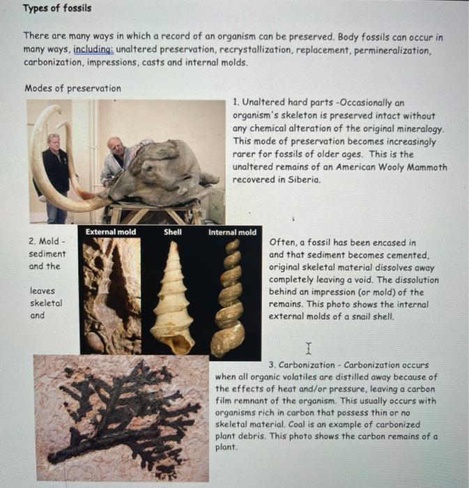 Solved Types of fossils There are many ways in which a | Chegg.com