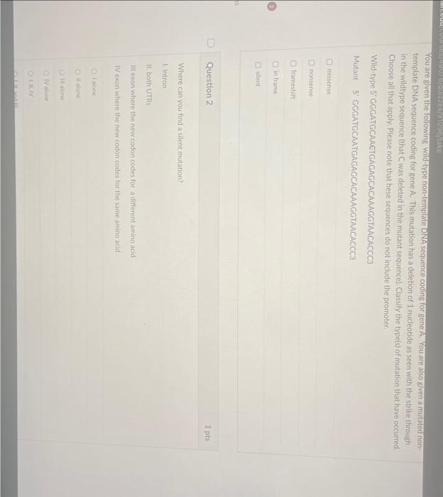 template DNA sequence coding for gene A. This | Chegg.com