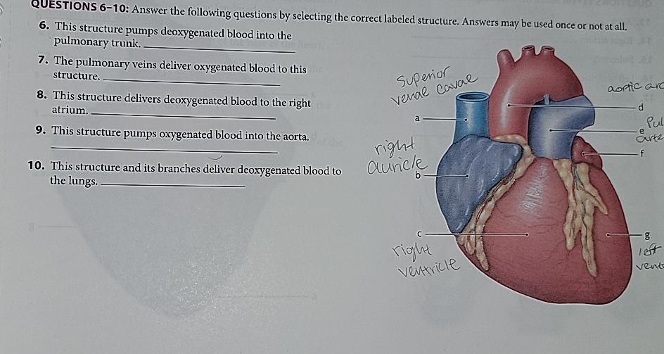 Solved QUESTIONS 6-10: Answer the following questions by | Chegg.com