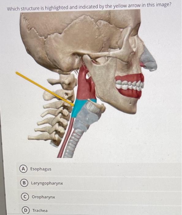 Solved Hello! please help me answer ALL of the following | Chegg.com