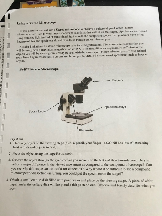 Examination of Pond Water with a Compound Microscope | Chegg.com