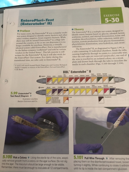 Multiple Test Systems Multiple test systems are | Chegg.com