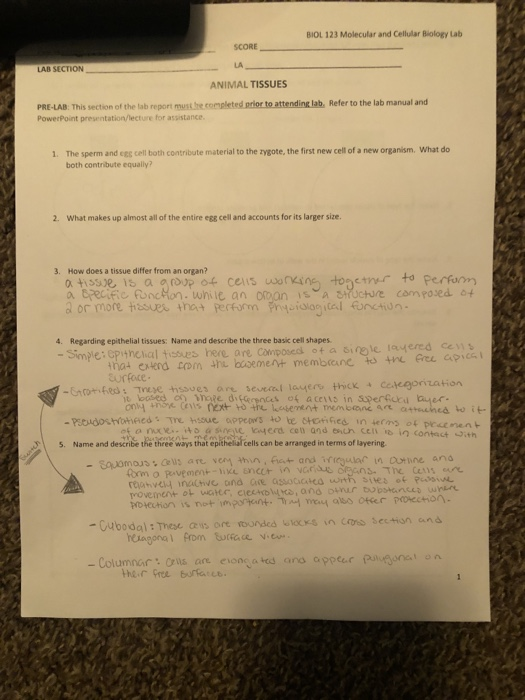 Solved BIOL 123 Molecular and Cellular Biology Lab SCORE LA | Chegg.com