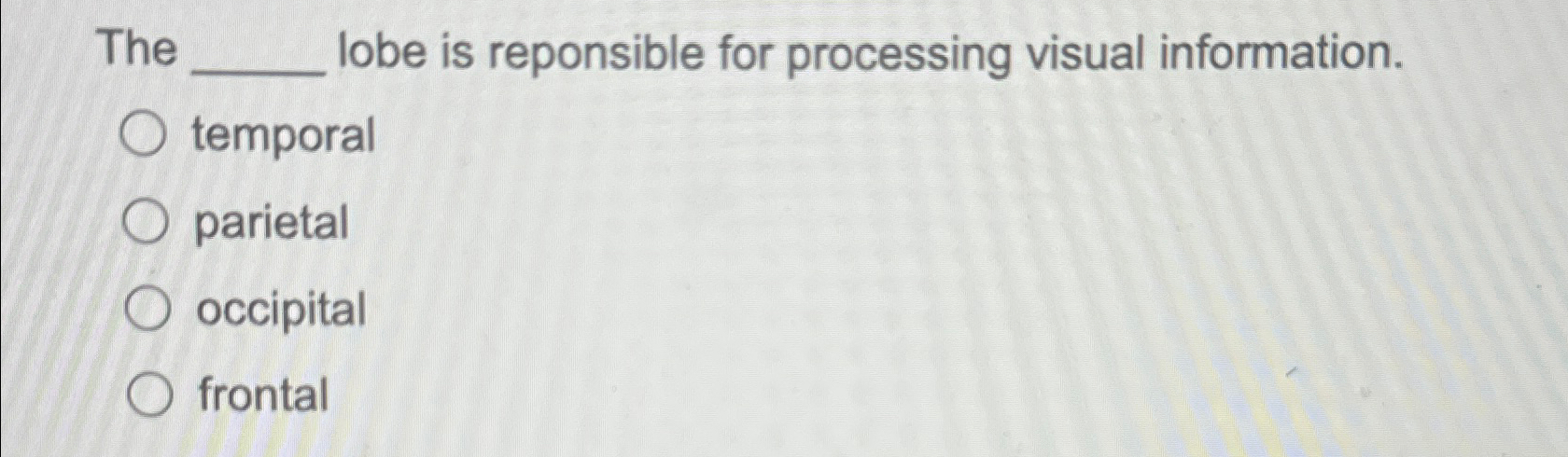 Solved The q, ﻿lobe is reponsible for processing visual | Chegg.com
