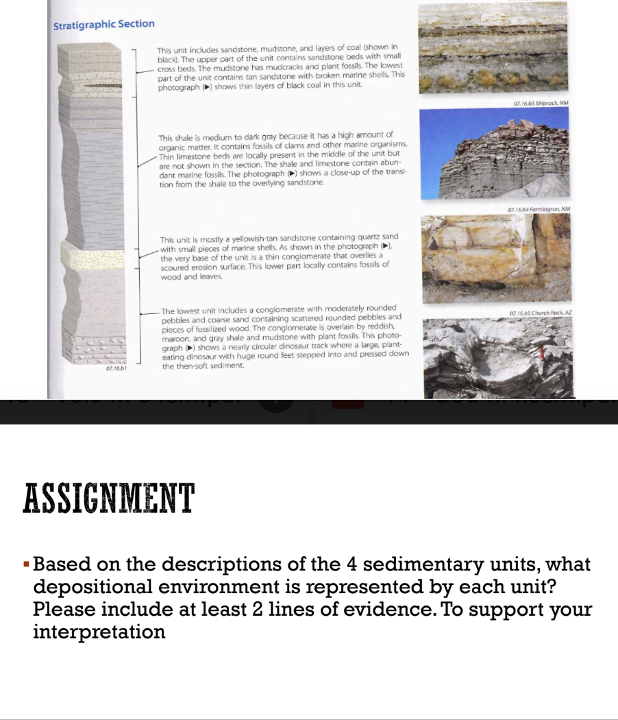 Solved Stratigraphic Sectionq, ﻿This unit includes | Chegg.com