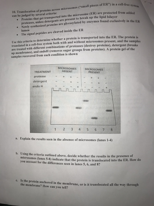 Solved 10. Translocation of proteins across microsomes | Chegg.com