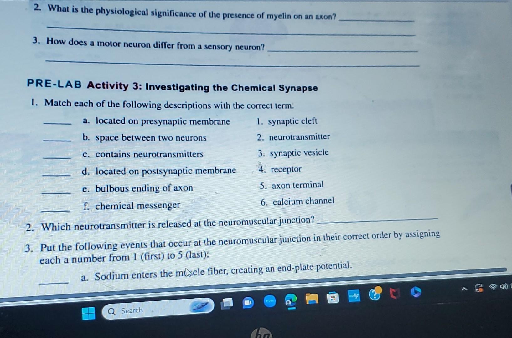 Solved 3. Put the following events that occur at the | Chegg.com