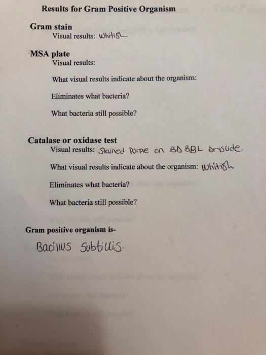 Results for Gram Negative Organism EMB plate Visual | Chegg.com
