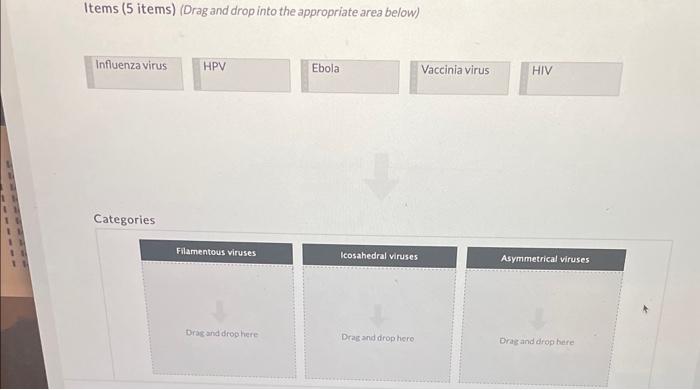 Solved Items ( 5 items) (Drag and drop into the appropriate | Chegg.com