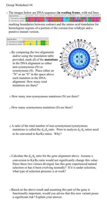 Group Worksheet #4 The images below are DNA sequence | Chegg.com